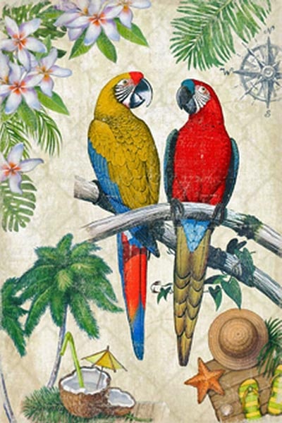 Tropical Parrots Canvas Print - Globe Imports