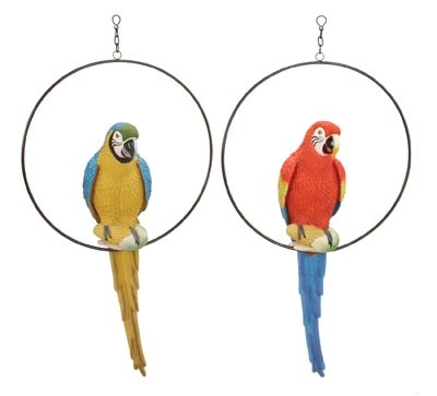 Assorted Parrot on Ring - Globe Imports
