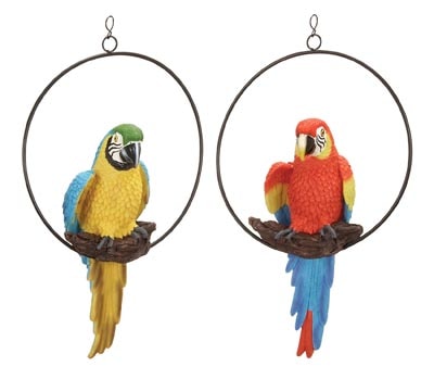 Assorted Parrot on Ring - Globe Imports