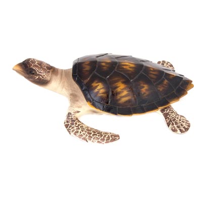 Decorative Sea Turtle Figurine Box - Globe Imports