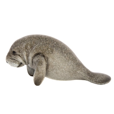 Gray Manatee - Globe Imports