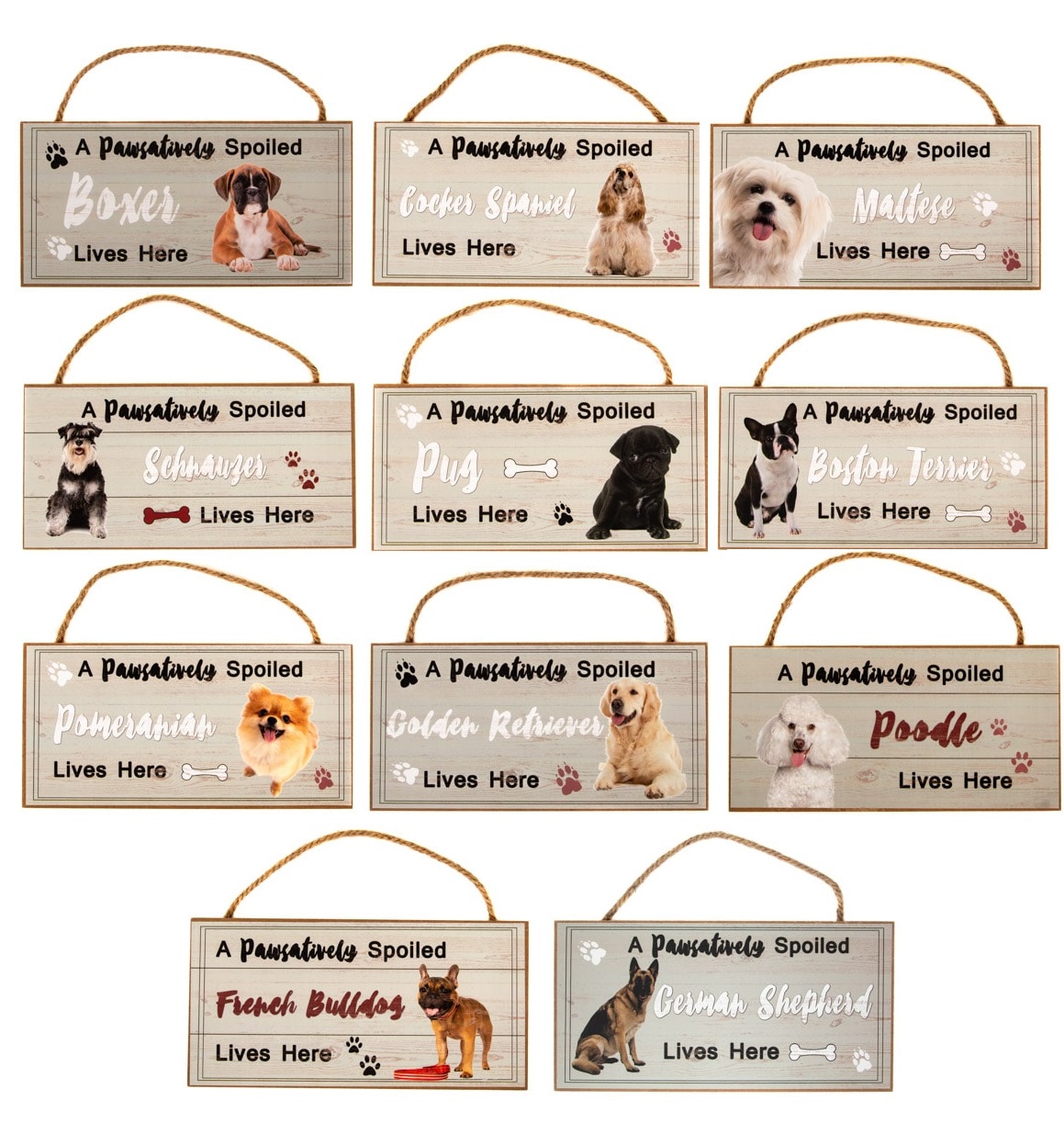 Assorted Dog Signs - For Limited Time Only - Globe Imports