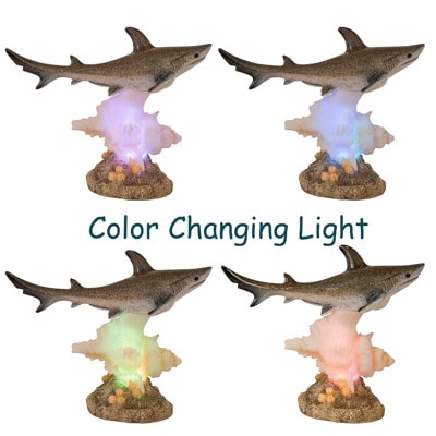 Shark on Light Up Shell - Globe Imports