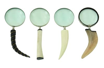 Assorted Magnifying Glass with Decorative Handle - Globe Imports