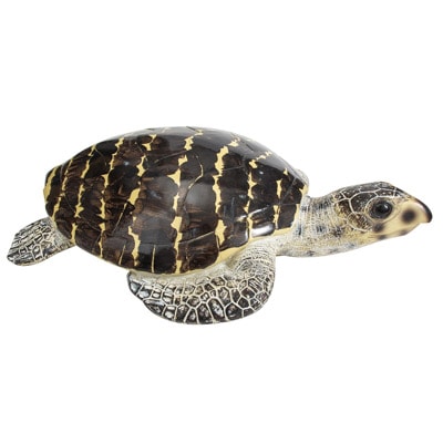 34 Inches Long Decorative Realistic Jumbo Sea Turtle - Globe Imports